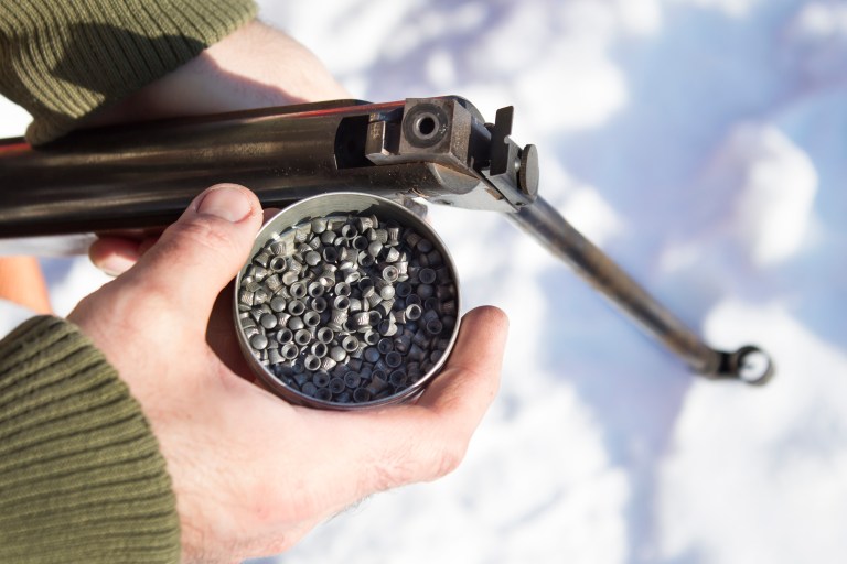Should I Add An Air Rifle To My Prepper Arsenal? | Nick's Preparedness